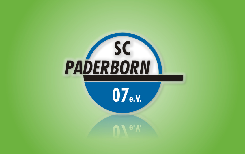 Fünf Gründe für den Erfolg des SC Paderborn 07 | liga2-online.de