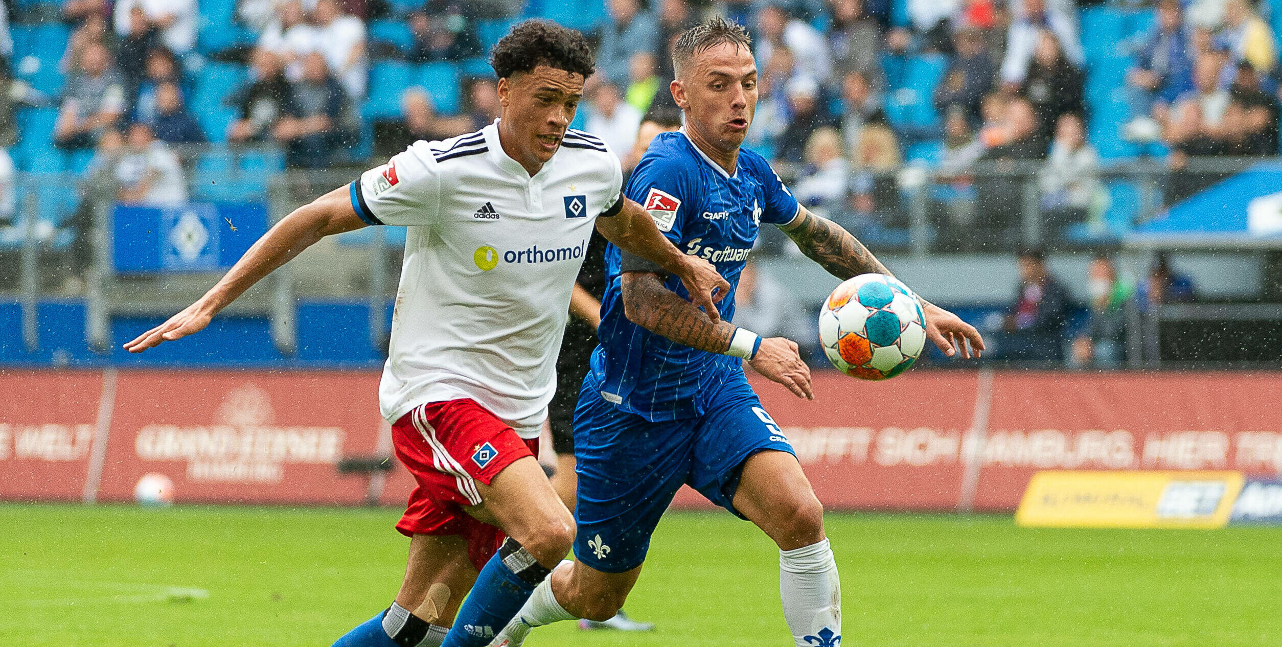 „Tasten uns langsam ran“: Walter sieht die HSV-Entwicklung – liga2 ...