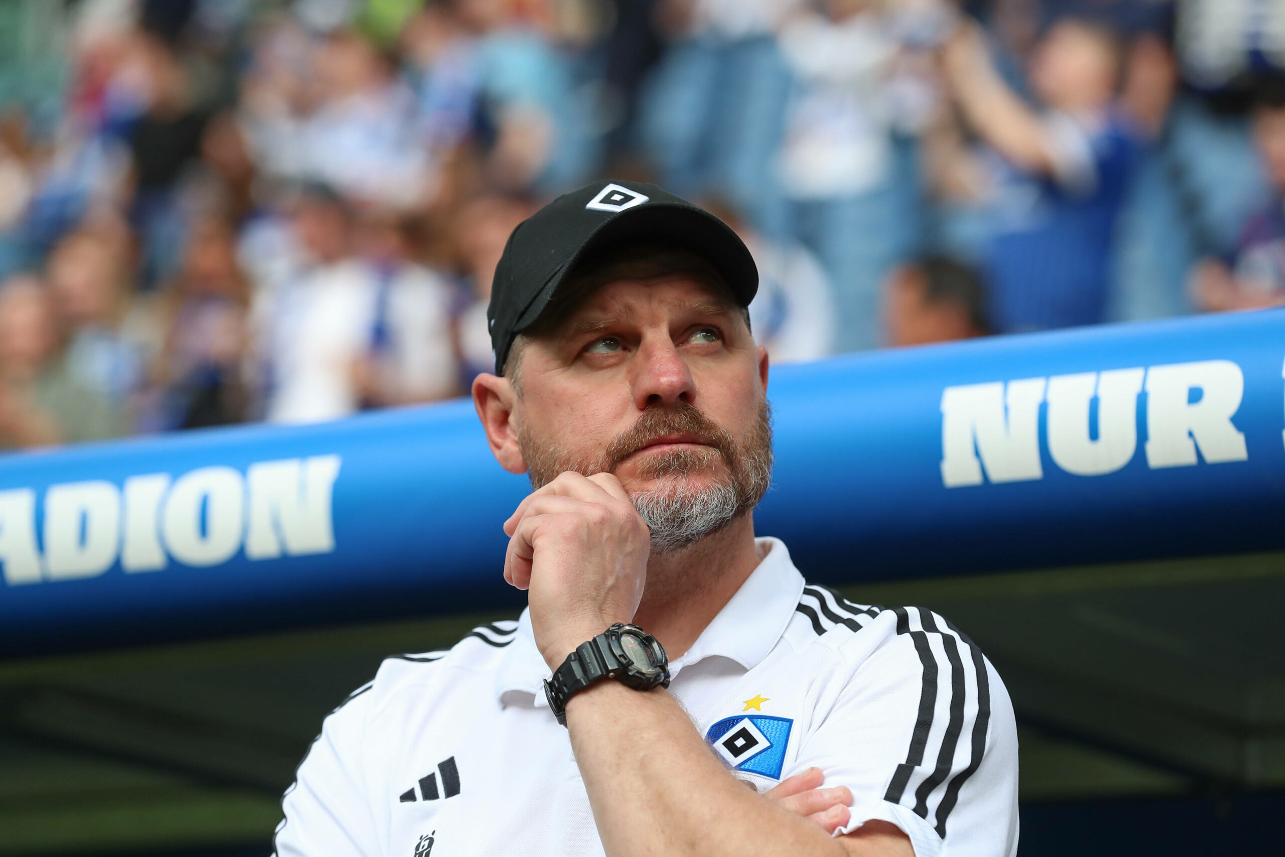 „Daran werden wir alles setzen“: HSV möchte den Anschluss halten ...